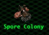 Spore colony | StarCraft Wiki | Fandom
