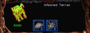 Infested terran (StarCraft) | StarCraft Wiki | Fandom