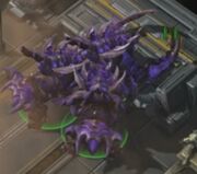 Torrasque | StarCraft Wiki | Fandom