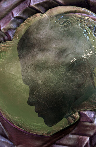 Chrysalis | StarCraft Wiki | Fandom