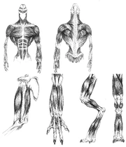 Protoss | StarCraft: Scattered Factions Wiki | Fandom