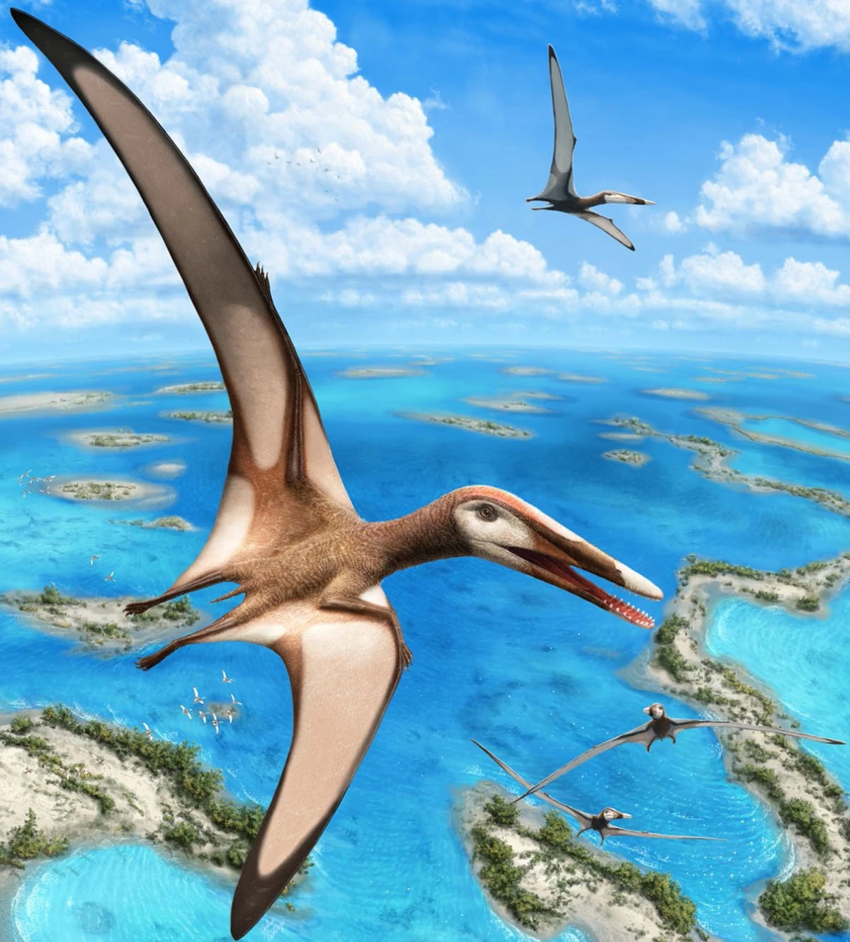 Pterosaur | Star-Crossed (Comic) Wiki | Fandom