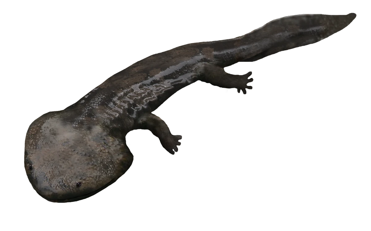 Koolasuchus | Star-Crossed (Comic) Wiki | Fandom