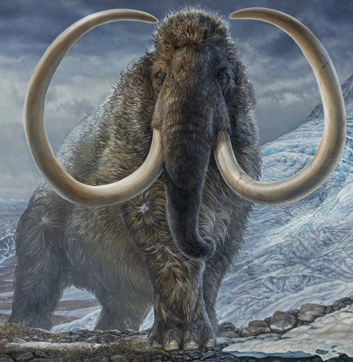 Mammoth | Star-Crossed (Comic) Wiki | Fandom