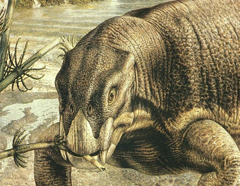 Lystrosaurus | Star-Crossed (Comic) Wiki | Fandom