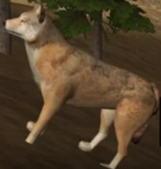 Citrine | Starcycle Wolf Quest Wiki | Fandom