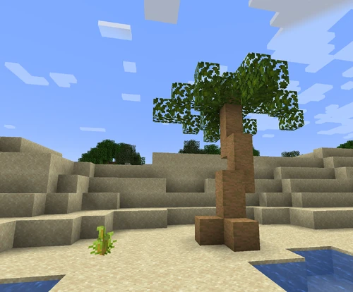 Palm Sapling | Stardew Valley Minecraft Datapack Wiki | Fandom