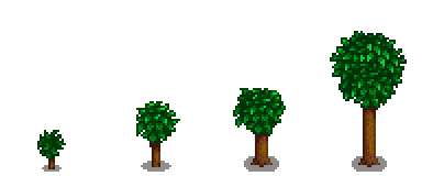Orange Tree | Stardew Valley Wiki | Fandom