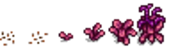Amaranth | Stardew Valley Wiki | Fandom