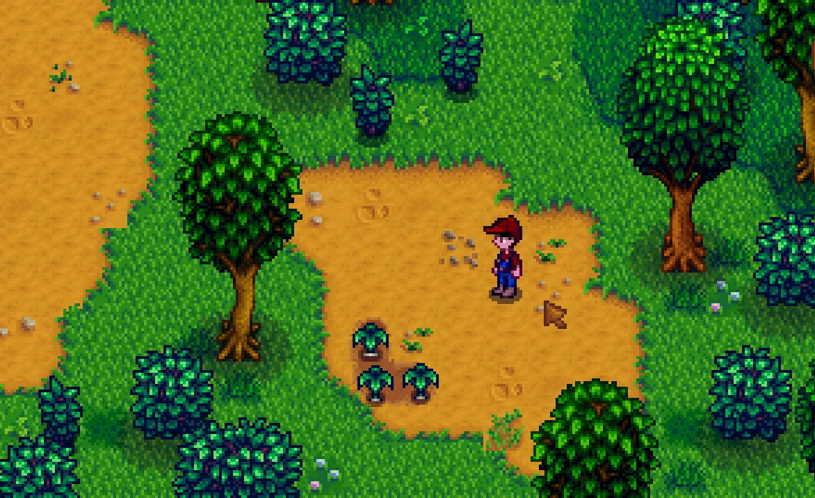 Cindersap Forest | Stardew Valley Wiki | Fandom