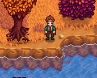 Harvey | Wikia Stardewvalleyvietnam | Fandom