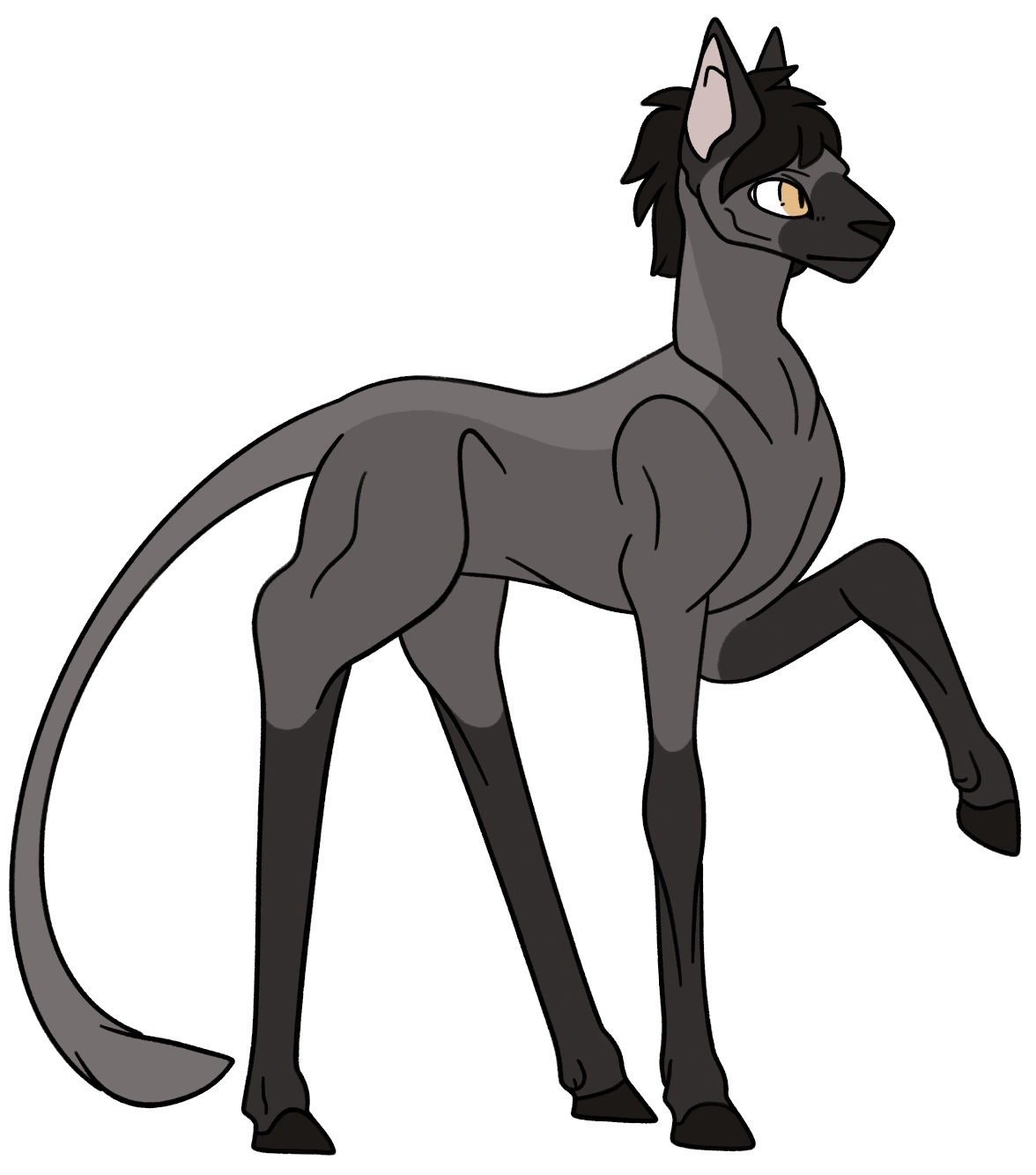 Zephyr France | Stardust Wiki | Fandom