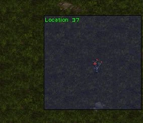 Bring Condition Bug | StarEdit Network Wiki | Fandom