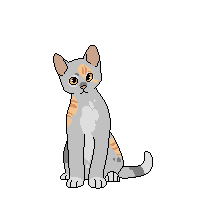 Lilykit | Starfall Wiki | Fandom