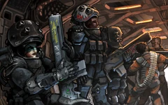 Raid | StarSector Wiki | Fandom