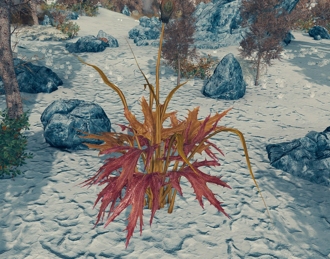 Frost Reed | Starfield Wiki | Fandom