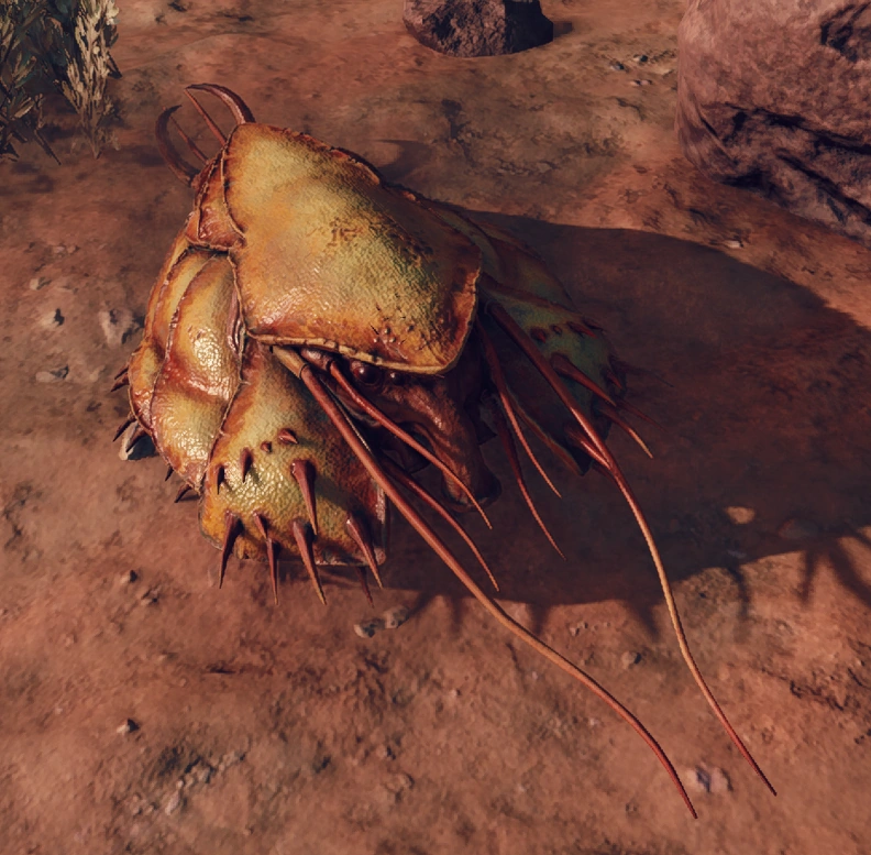 Trilobite Scavenger | Starfield Wiki | Fandom