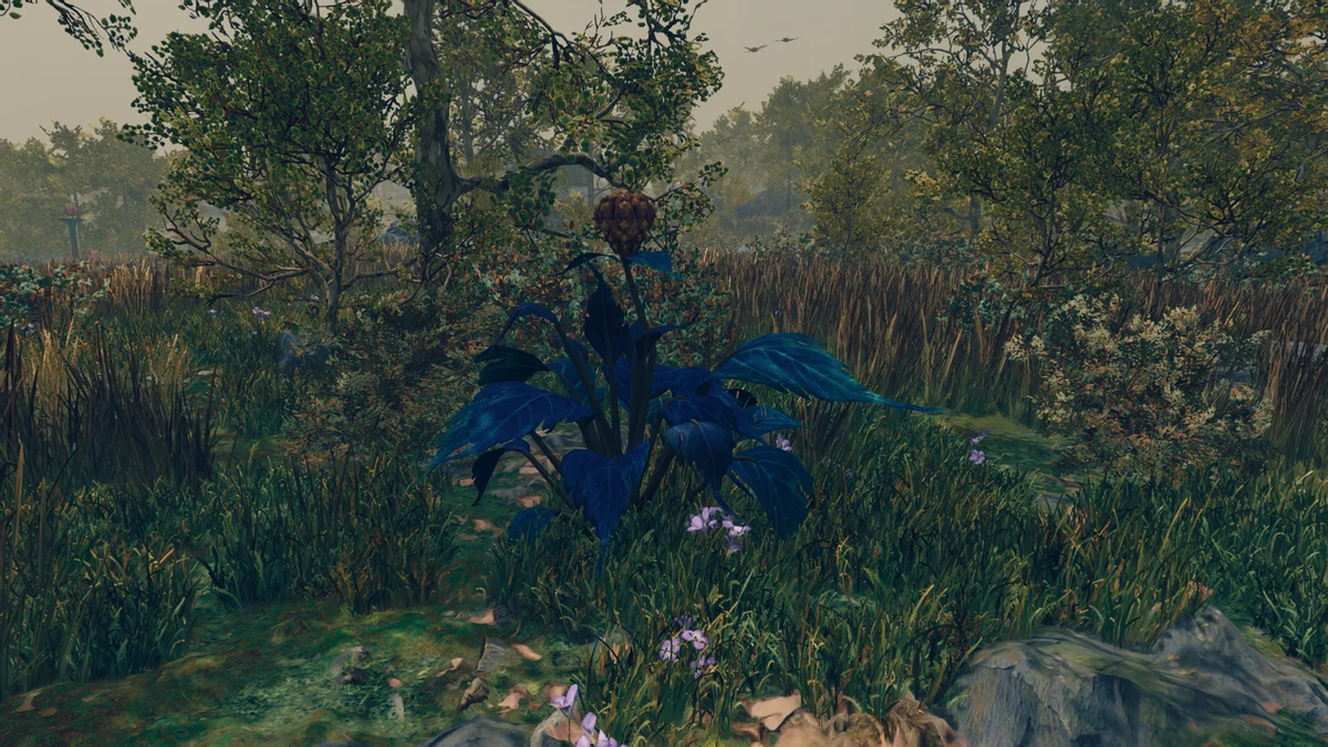 Bowing Shadeleaf | Starfield Wiki | Fandom