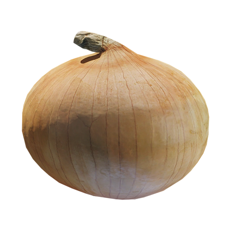 Onion | Starfield Wiki | Fandom