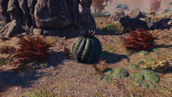 Sweetwater Cactus (Vega II-c) | Starfield Wiki | Fandom