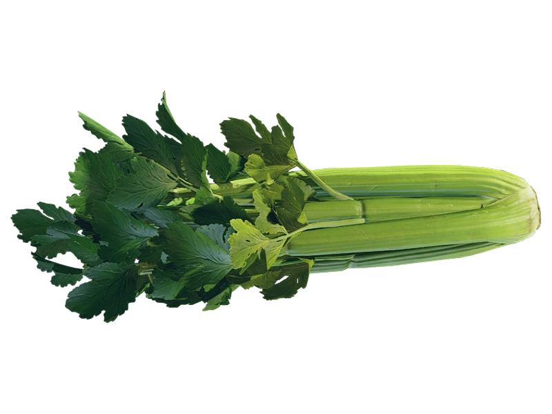 Celery | Starfield Wiki | Fandom