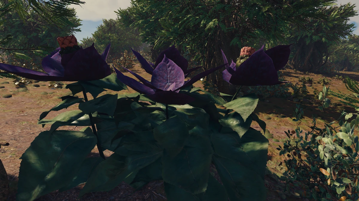 Nova Bloom | Starfield Wiki | Fandom