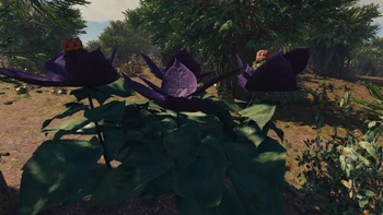 Nova Bloom | Starfield Wiki | Fandom