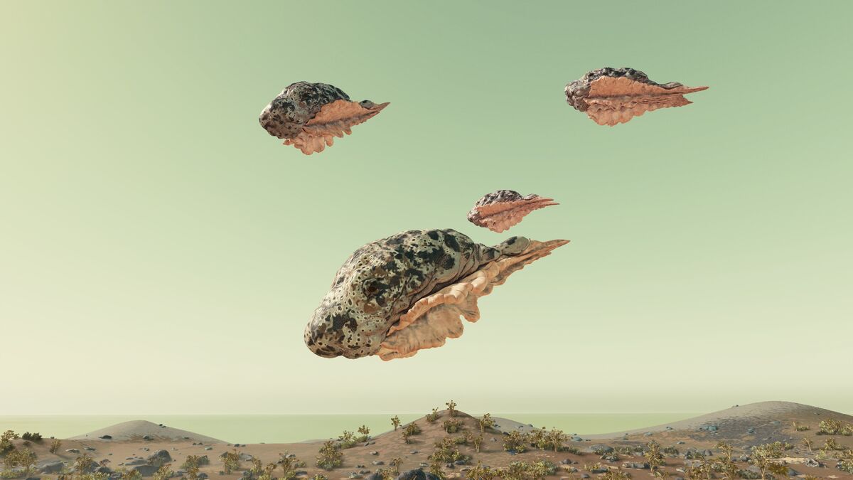 Herding Brainblimp Filterer Starfield Wiki Fandom