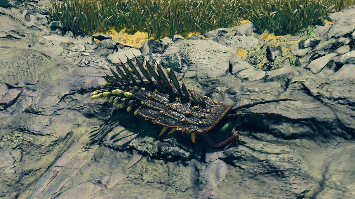 Spaceroach Geophage | Starfield Wiki | Fandom