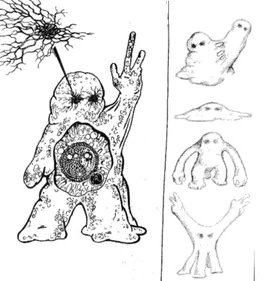 Dralasites | Star Frontiers Wiki | Fandom