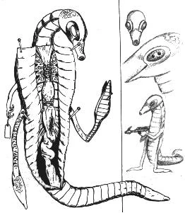 S'sessu | Star Frontiers Wiki | Fandom