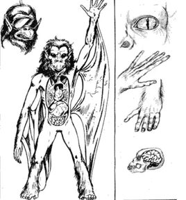 Yazirian | Star Frontiers Wiki | Fandom