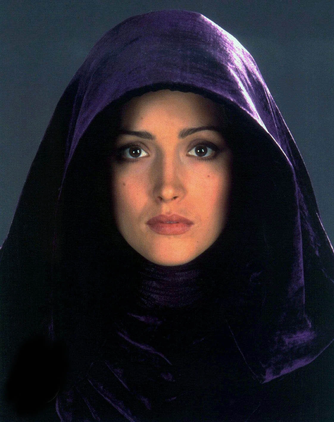 Starfyre Honor Guard | Starfyre Wiki | Fandom