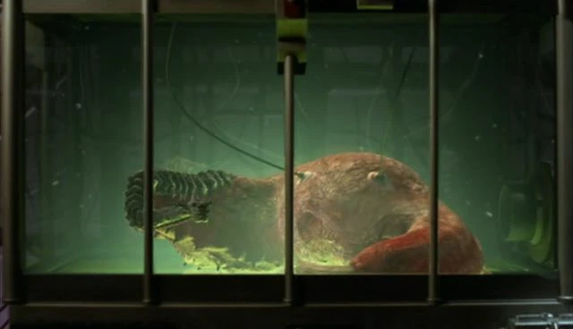 Goa'uld queen | SGCommand | Fandom