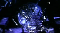 Small Victories | SGCommand | Fandom