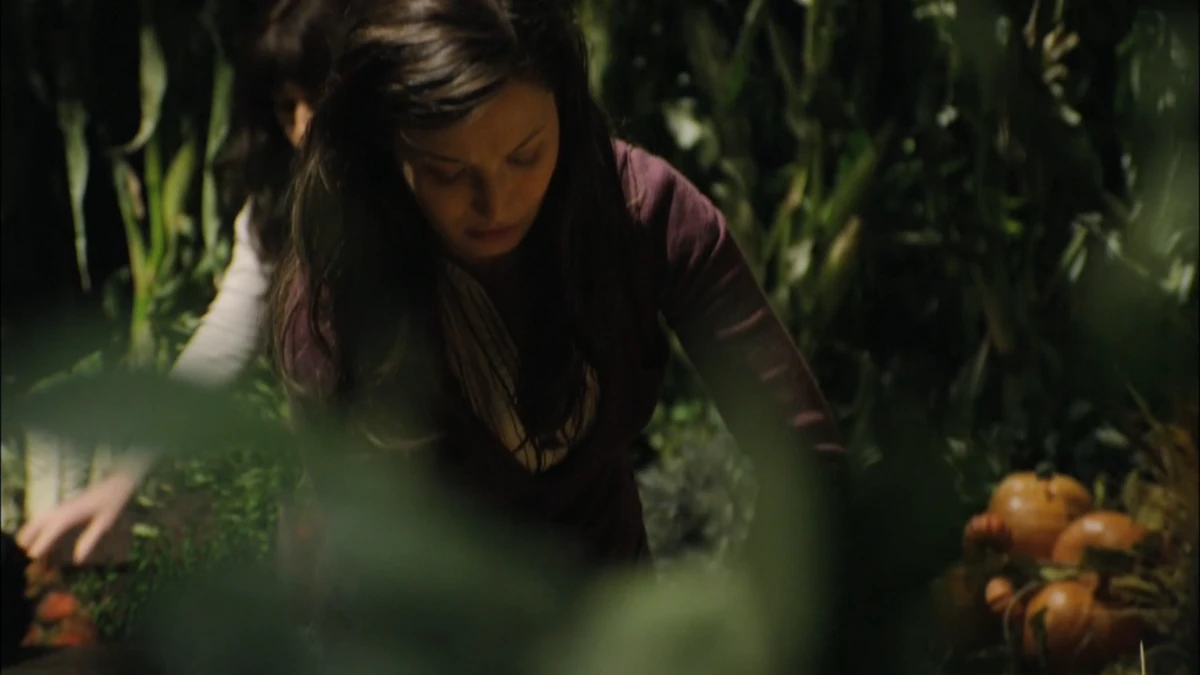 Alien pumpkin | SGCommand | Fandom