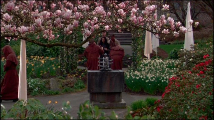 World (The Ties That Bind) | SGCommand | Fandom