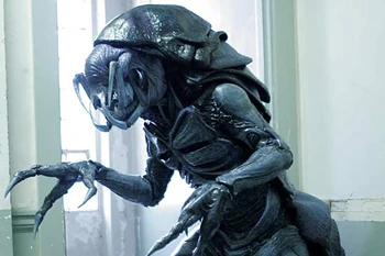 Bug People | SGCommand | Fandom