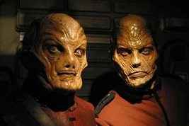 Serrakin | SGCommand | Fandom