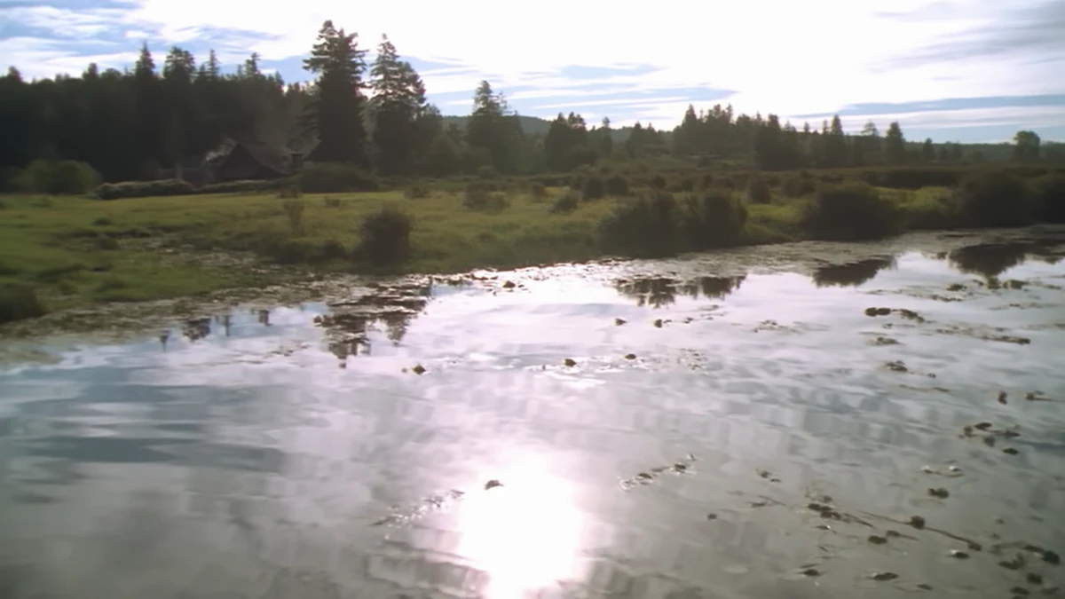 Edora | SGCommand | Fandom