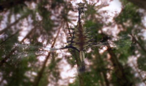 Fenri | SGCommand | Fandom