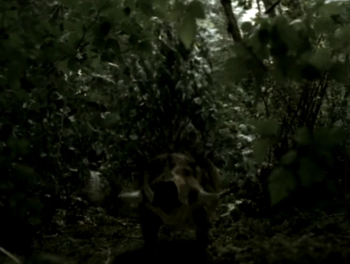 Trimodian Boar | SGCommand | Fandom