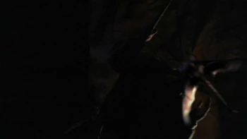 Flying creature (New Ground) | SGCommand | Fandom