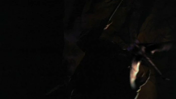 Flying creature (New Ground) | SGCommand | Fandom