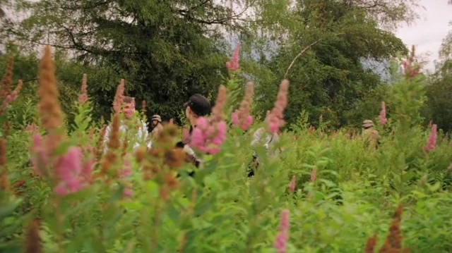 Eden flower | SGCommand | Fandom