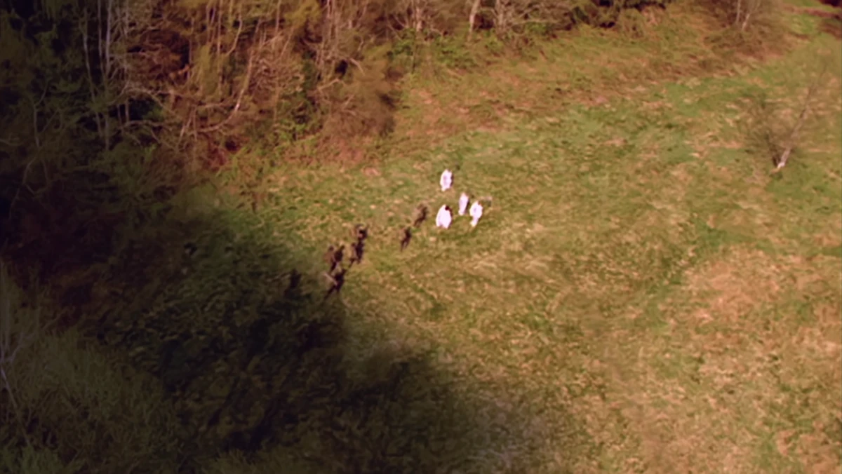 The Broca Divide | SGCommand | Fandom