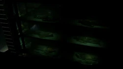 Conversion process | SGCommand | Fandom