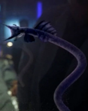 Goa'uld | Stargate Renaissance Wiki | Fandom