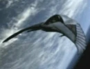 Deathgliders | Stargate Resurgence Wiki | Fandom