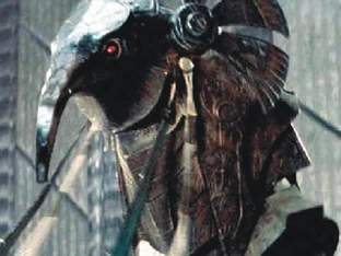 Ibis Guard | Stargate Resurgence Wiki | Fandom